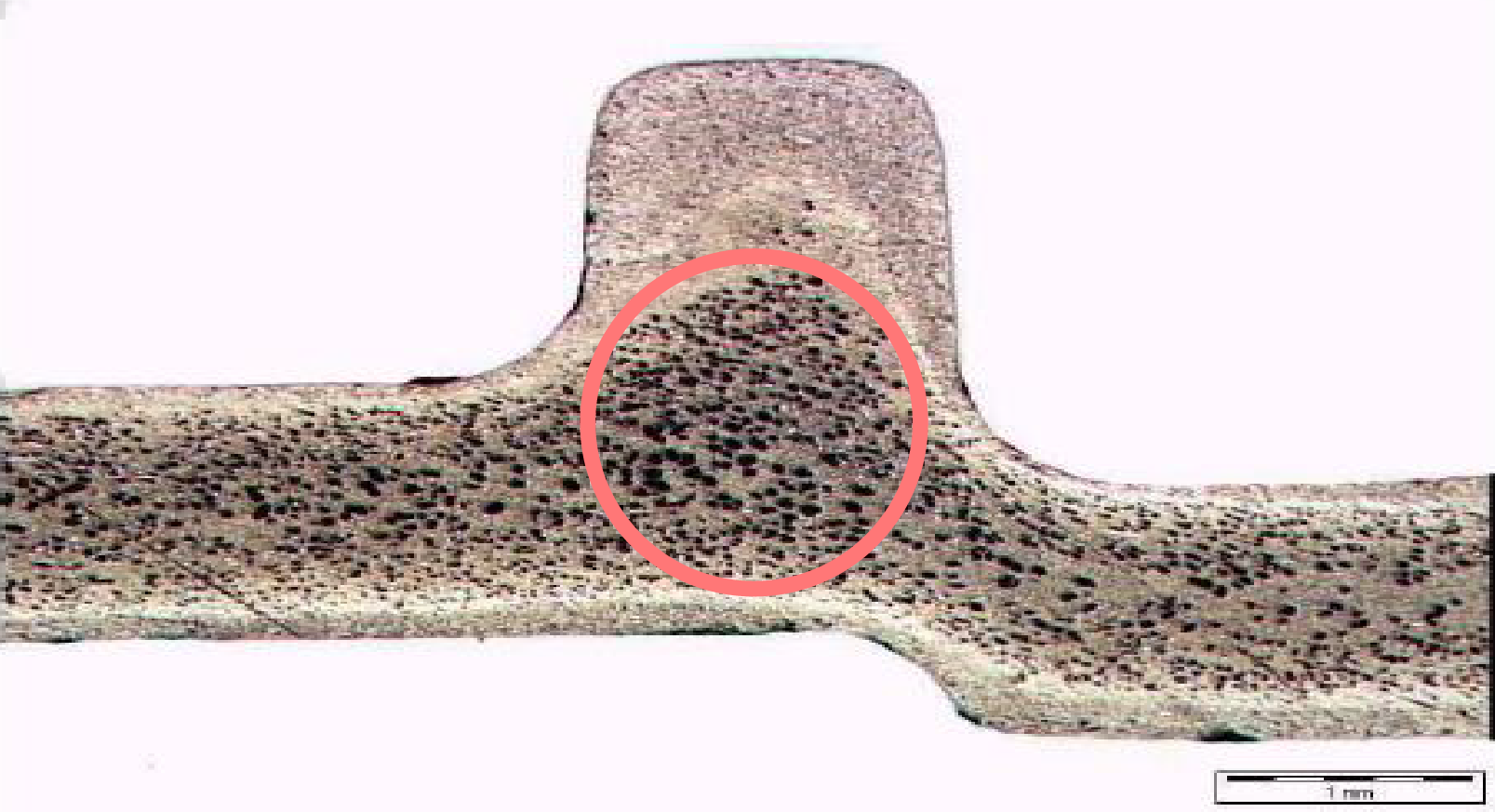 物理発泡成形「MuCell」 | 製品情報 - 松井製作所